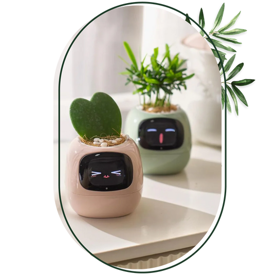 Ivy Smart Plant Pot – Self-Watering, App-Controlled Indoor Planter – My ...